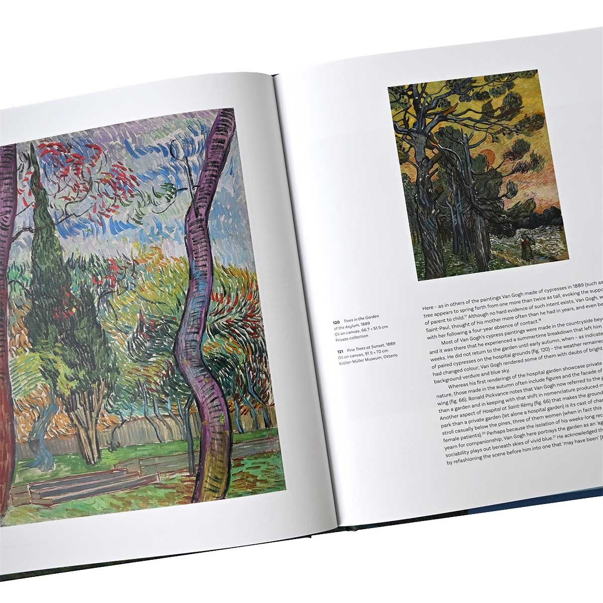 Van Gogh by Cornelia Homburg, Renske Cohen Tervaert | Waterstones