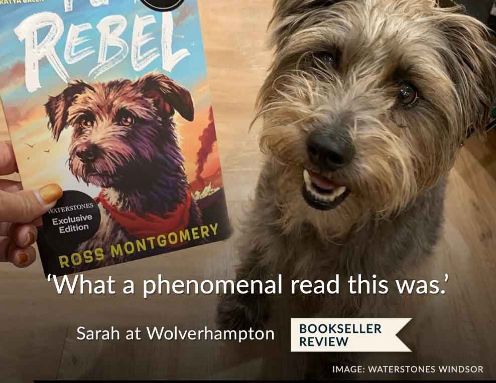 Waterstones Book of the Year 2024 | The Winner