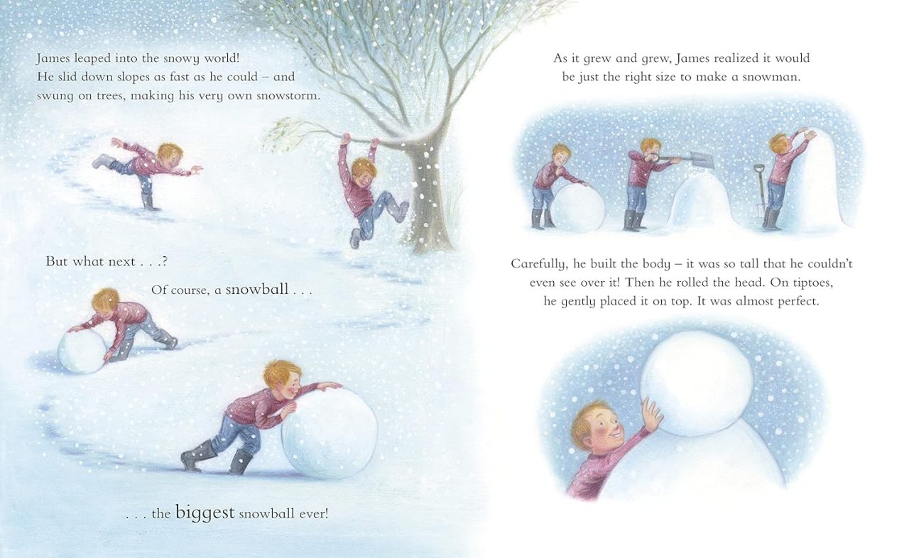 The Snowman: The Book of the Classic Film by Raymond Briggs | Waterstones