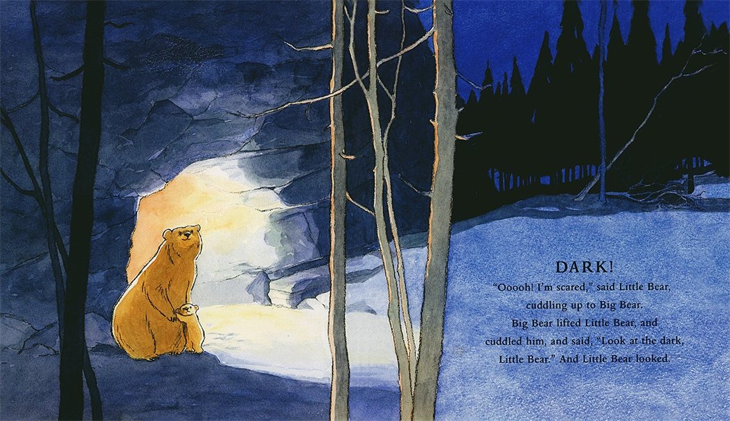 Can't You Sleep, Little Bear? by Martin Waddell, Barbara Firth ...