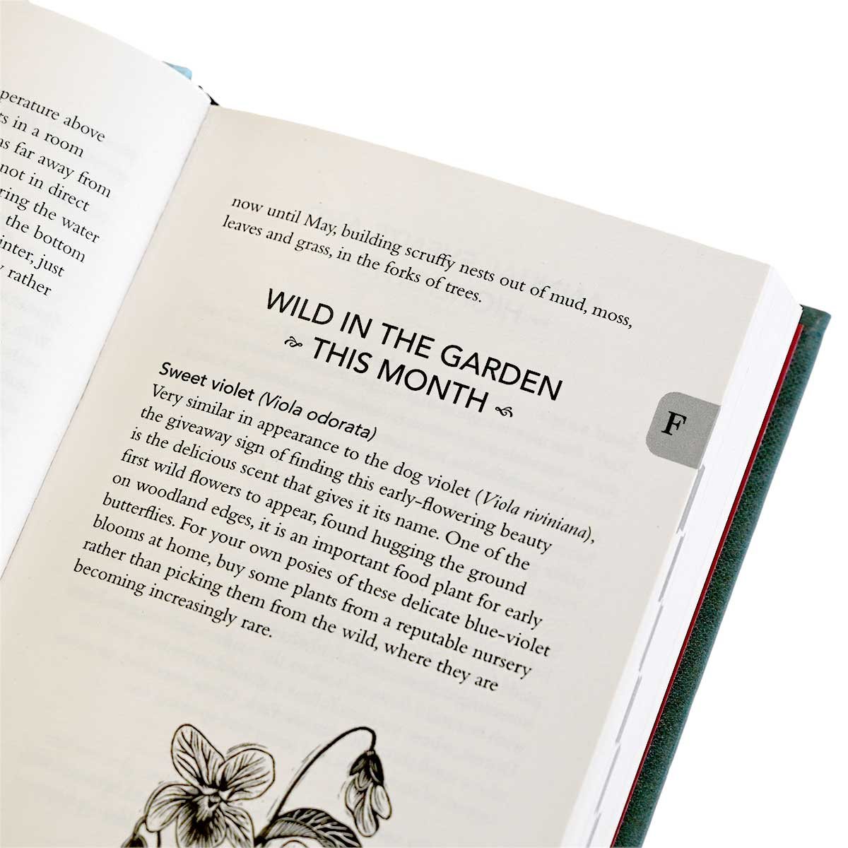 Gardener’s Almanac 2025 by Greg Loades, National Trust Books | Waterstones