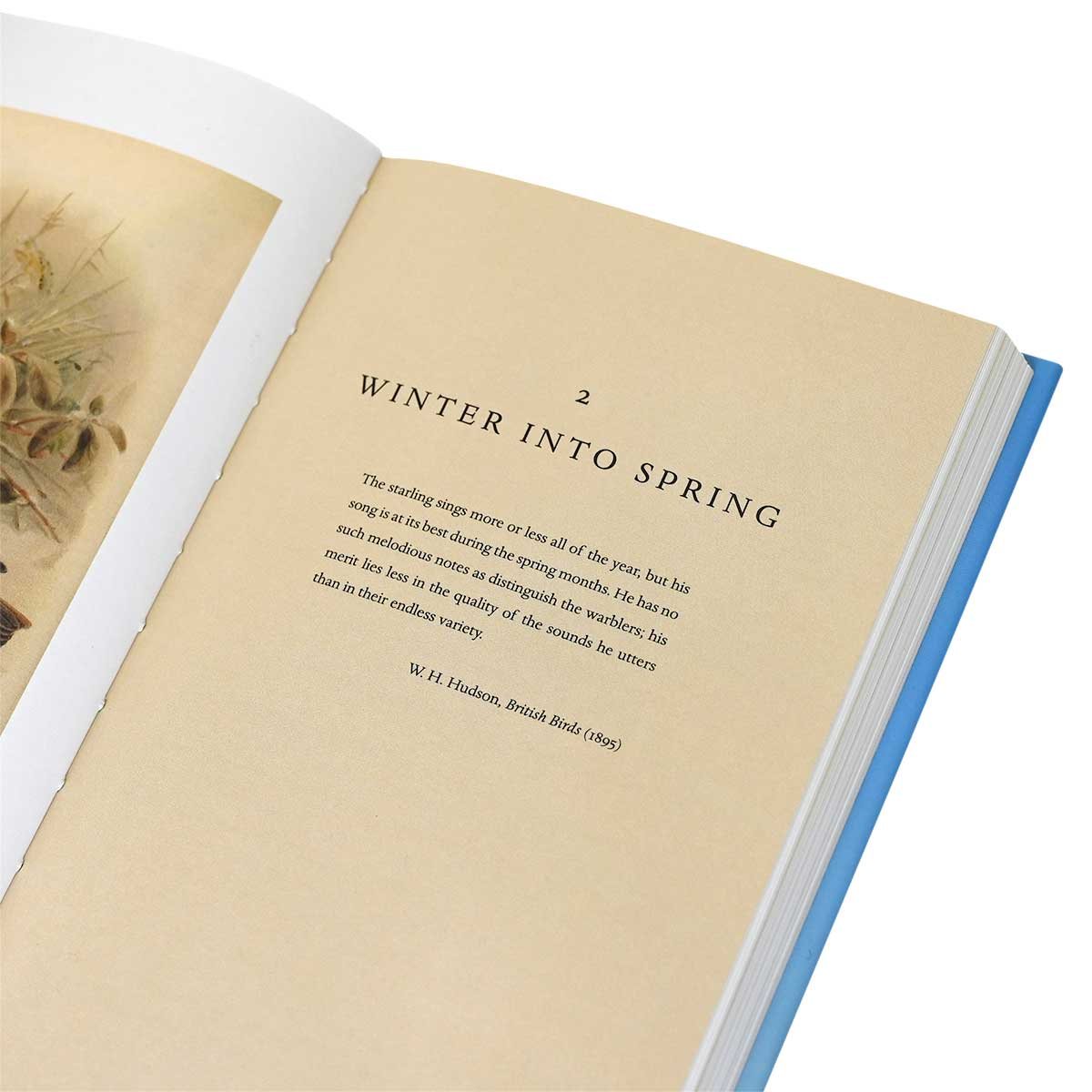 The Starling by Stephen Moss | Waterstones