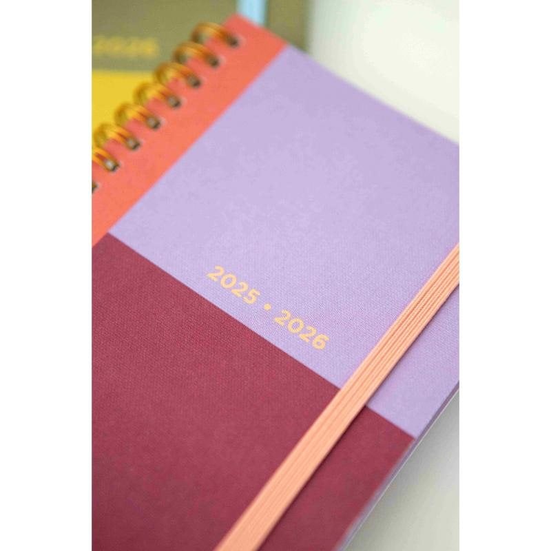 Raspberry Colour Block A6 Dtp With Appts Ringbound 2025-2026 | Waterstones