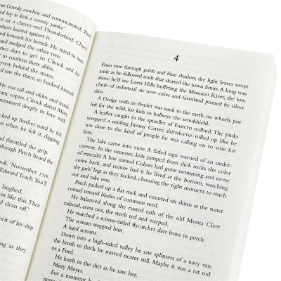 All the Colours of the Dark by Chris Whitaker | Waterstones