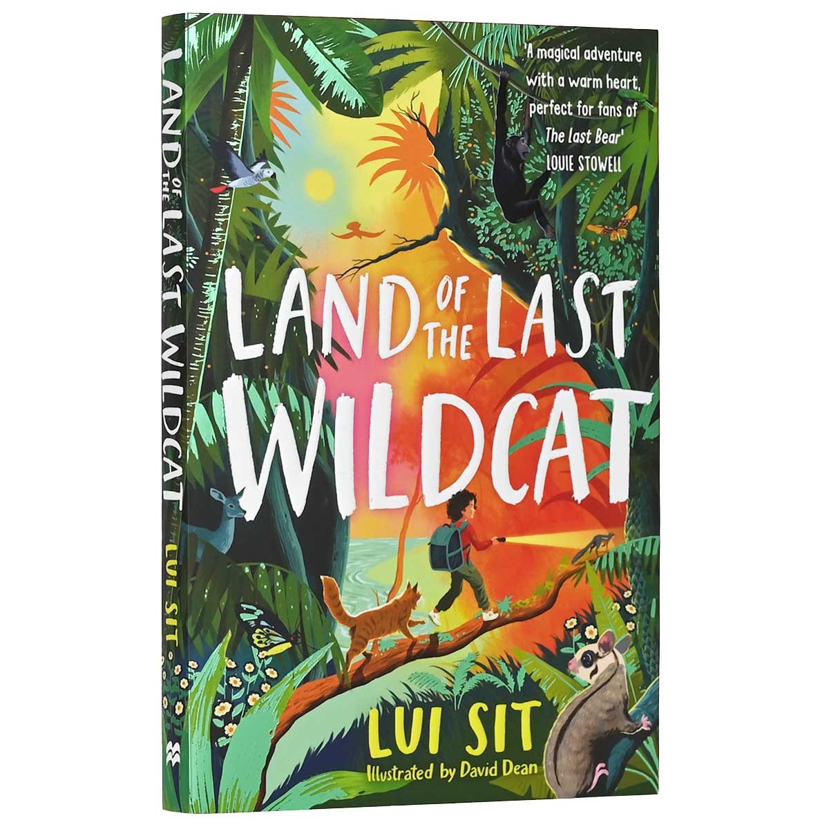 Land of the Last Wildcat by Lui Sit, David Dean | Waterstones