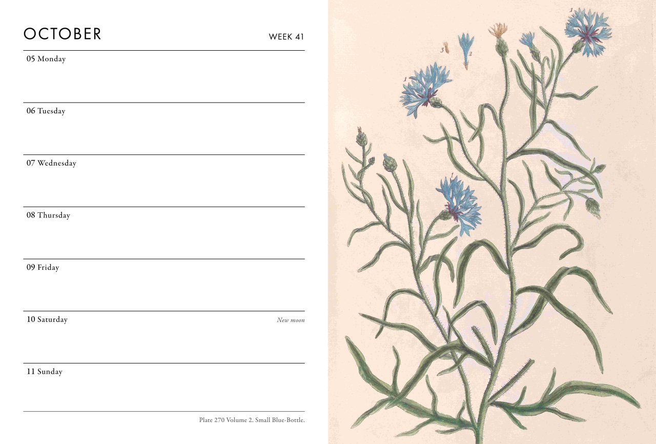 Rhs Floral Desk Diary 2026 by The Royal Horticultural Society | Waterstones