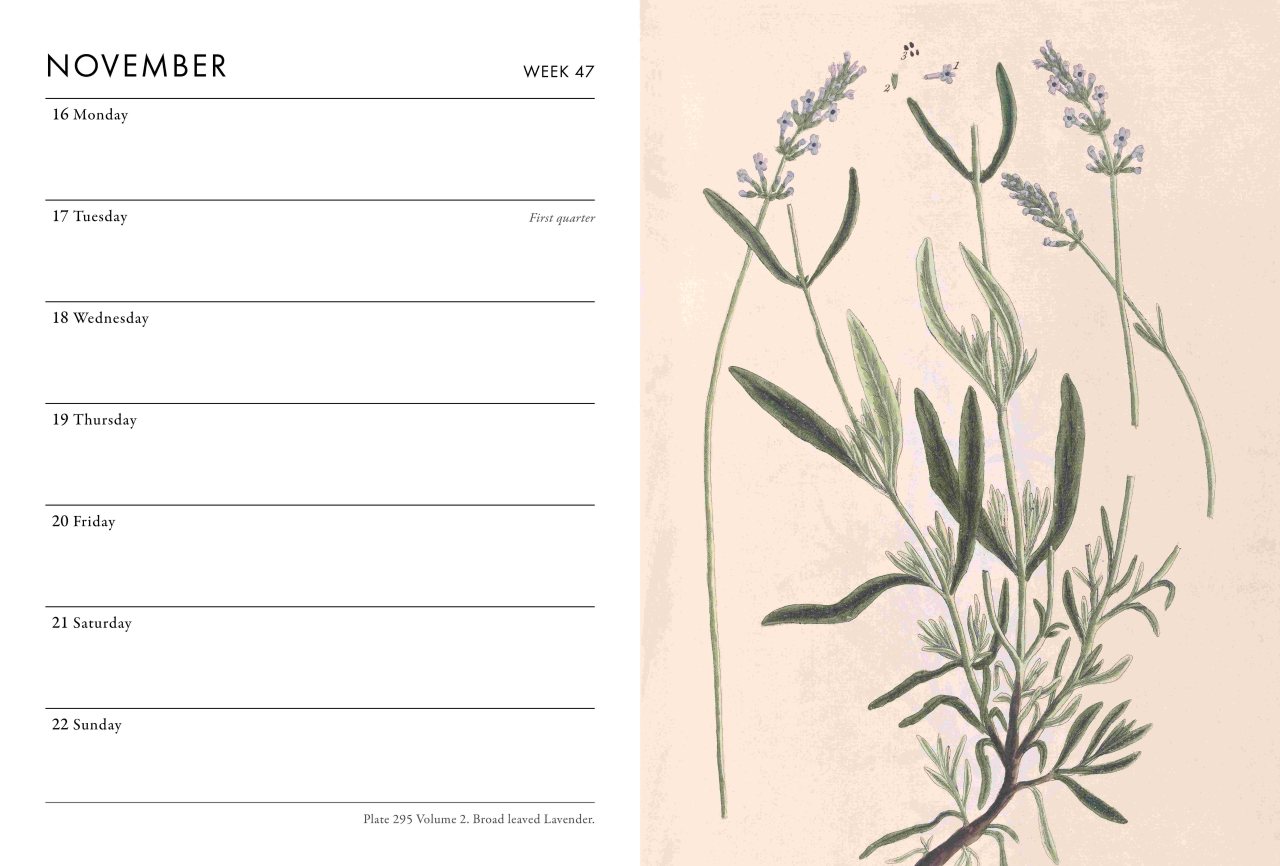 Rhs Floral Desk Diary 2026 by The Royal Horticultural Society | Waterstones
