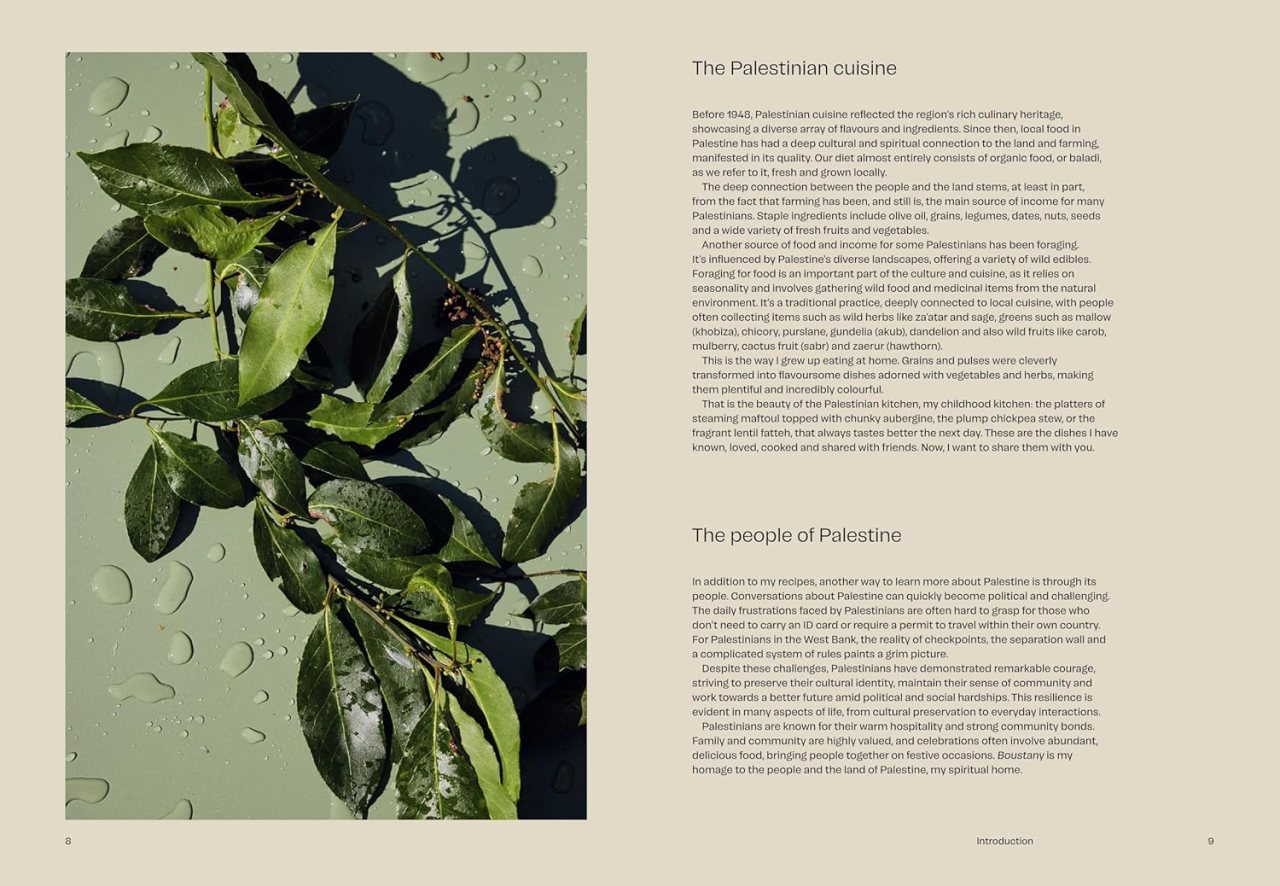 Boustany by Sami Tamimi | Waterstones