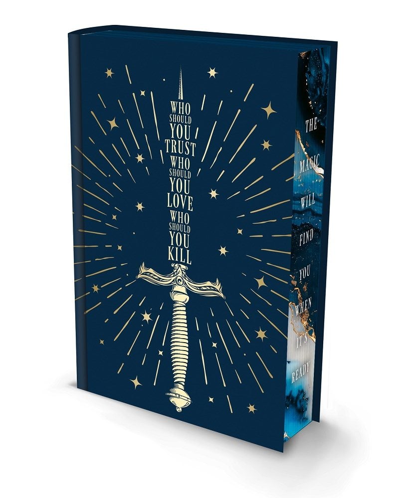 Warrior Princess Assassin by Brigid Kemmerer | Waterstones