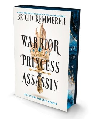 Warrior Princess Assassin by Brigid Kemmerer | Waterstones