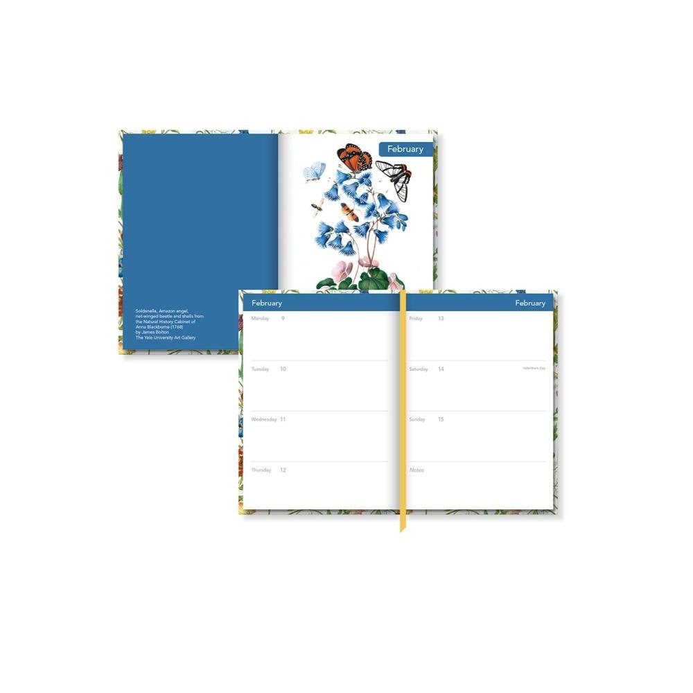 Floral Manuscript Desk Diary Week to View 2026 | Waterstones