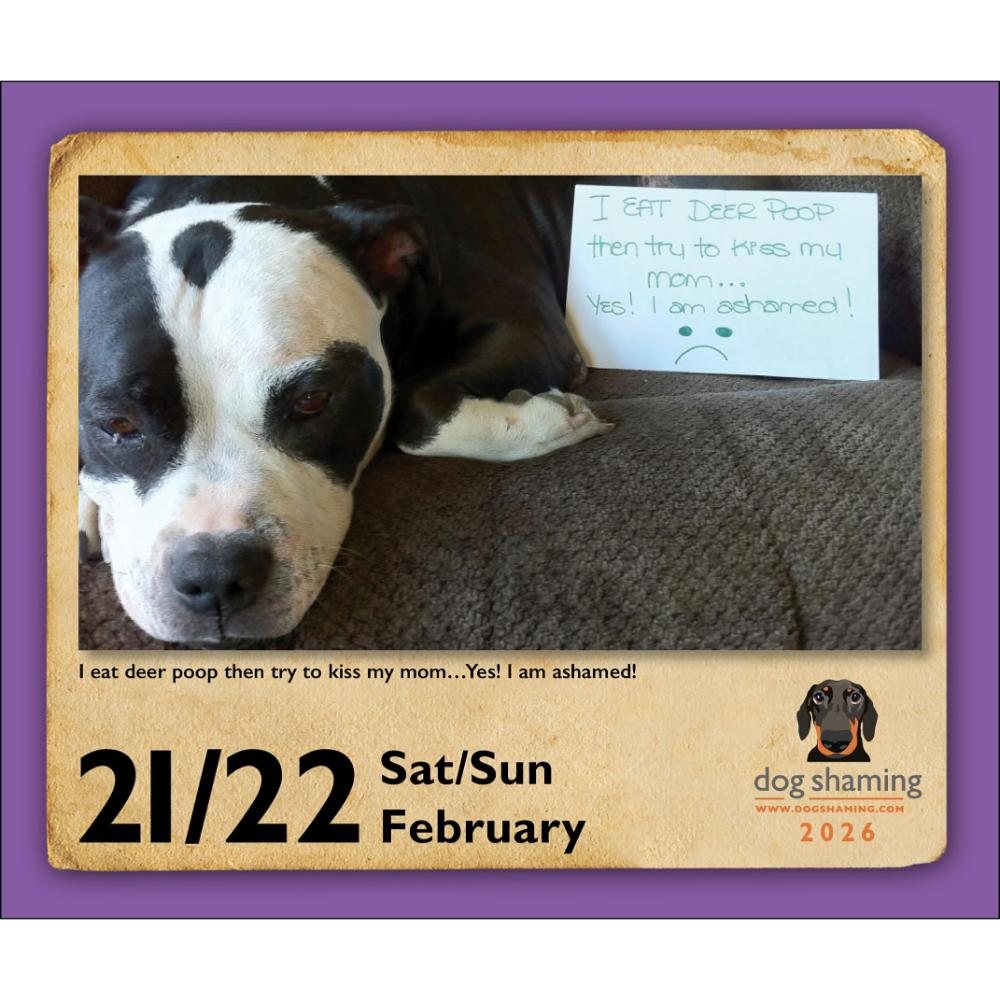 Dog Shaming 2026 Day-to-Day Calendar by Pascale Lemire, dogshaming.com ...