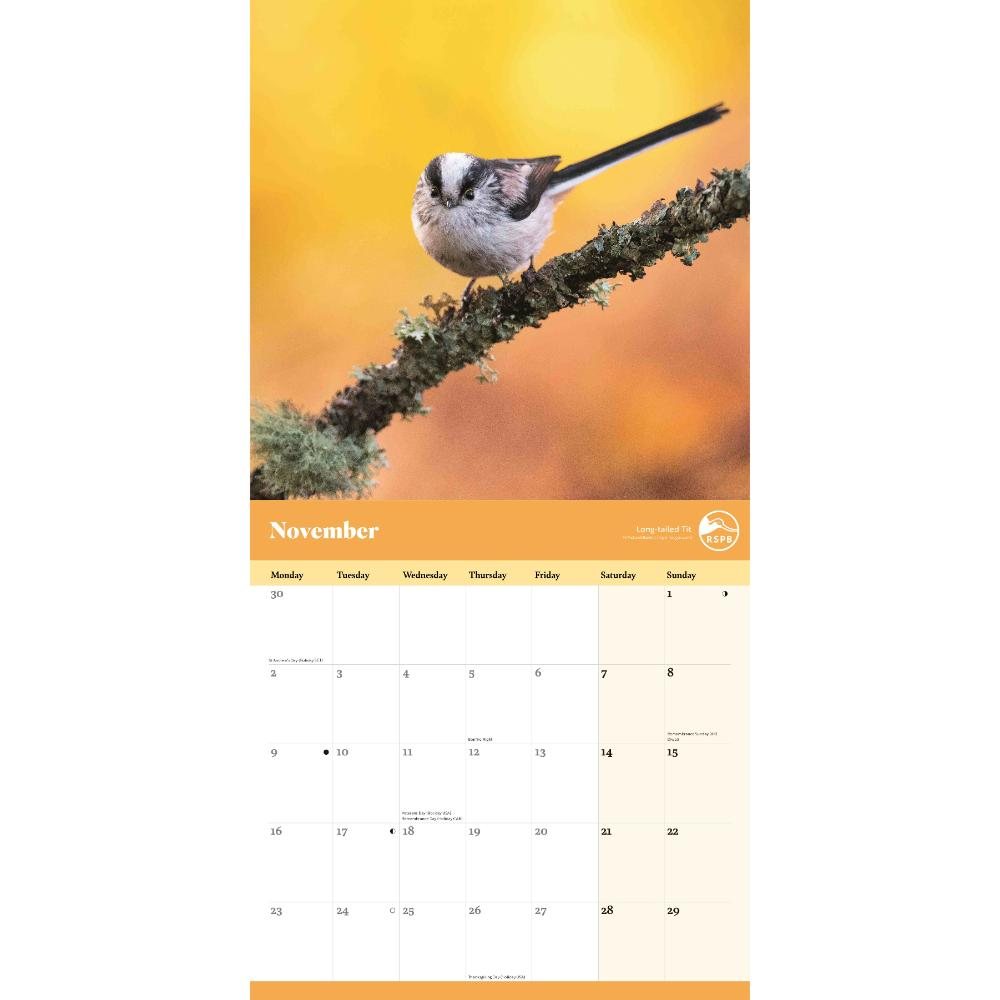2026 Rspb Garden Birds Wall Calendar | Waterstones