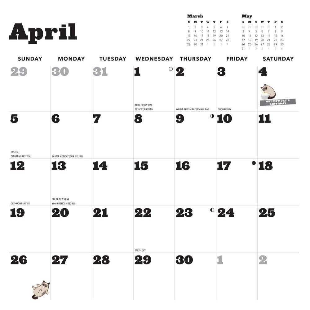 Grumpy Cat 2026 Wall Calendar by Grumpy Cat | Waterstones