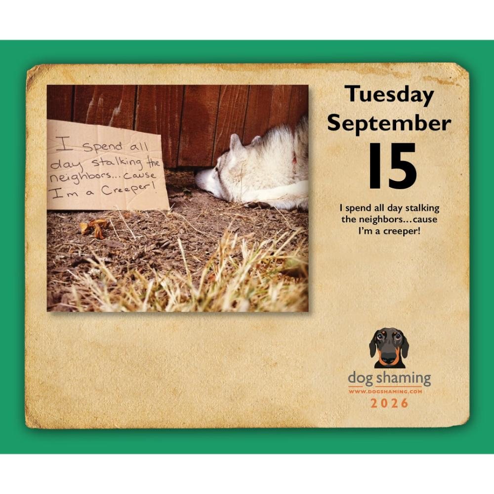 2026 Dog Shaming Boxed Calendar by Pascale Lemire, dogshaming.com ...