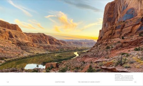 BBC Walking With Dinosaurs by Andrew Cohen, Helen Thomas | Waterstones