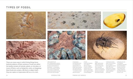 BBC Walking With Dinosaurs by Andrew Cohen, Helen Thomas | Waterstones