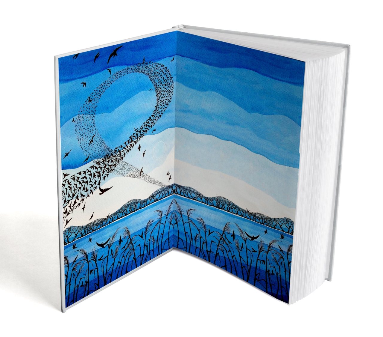 On Winter Hill by Raynor Winn | Waterstones