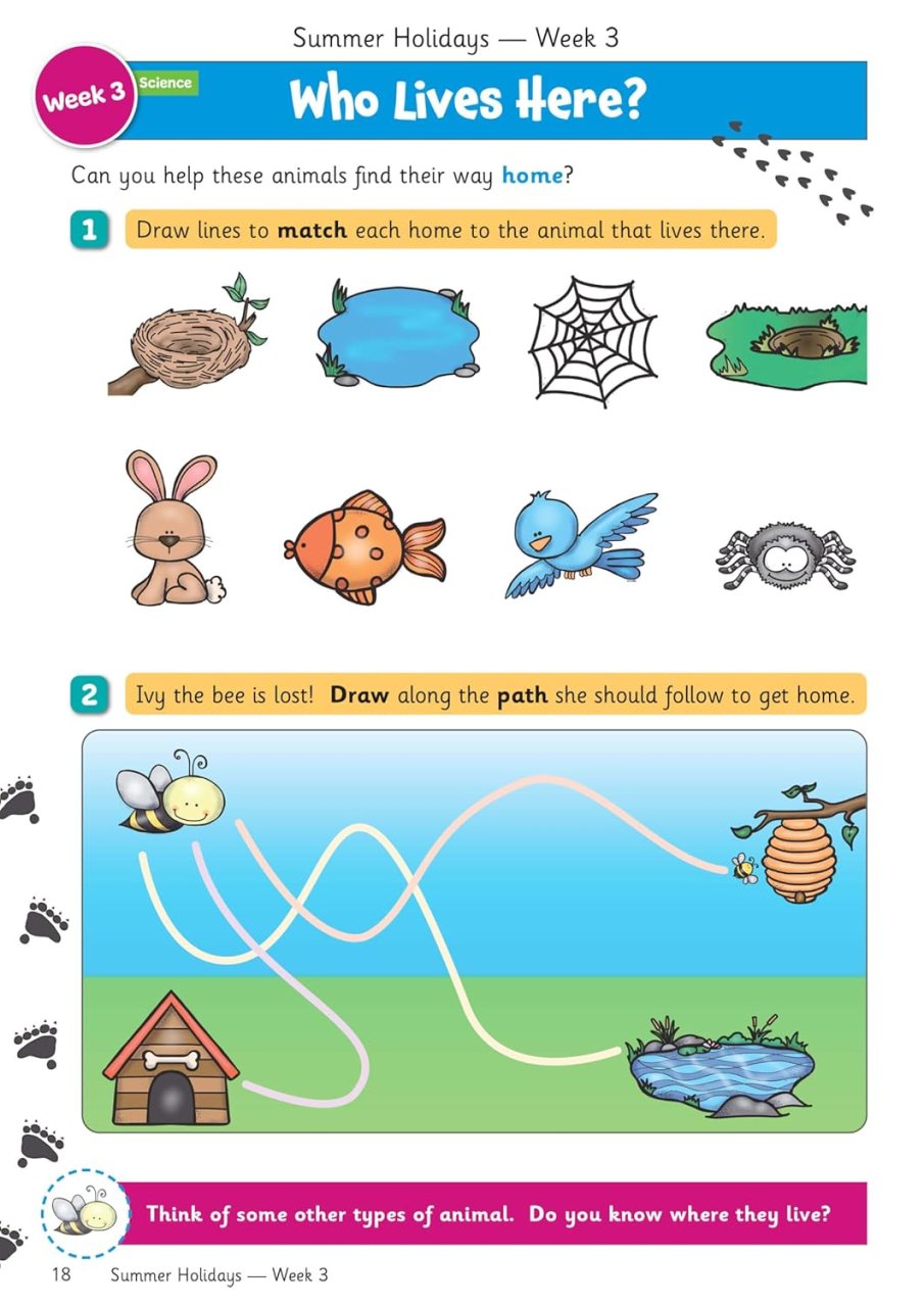 CGP Summer Holidays Activity Workbook - for kids between Reception and ...