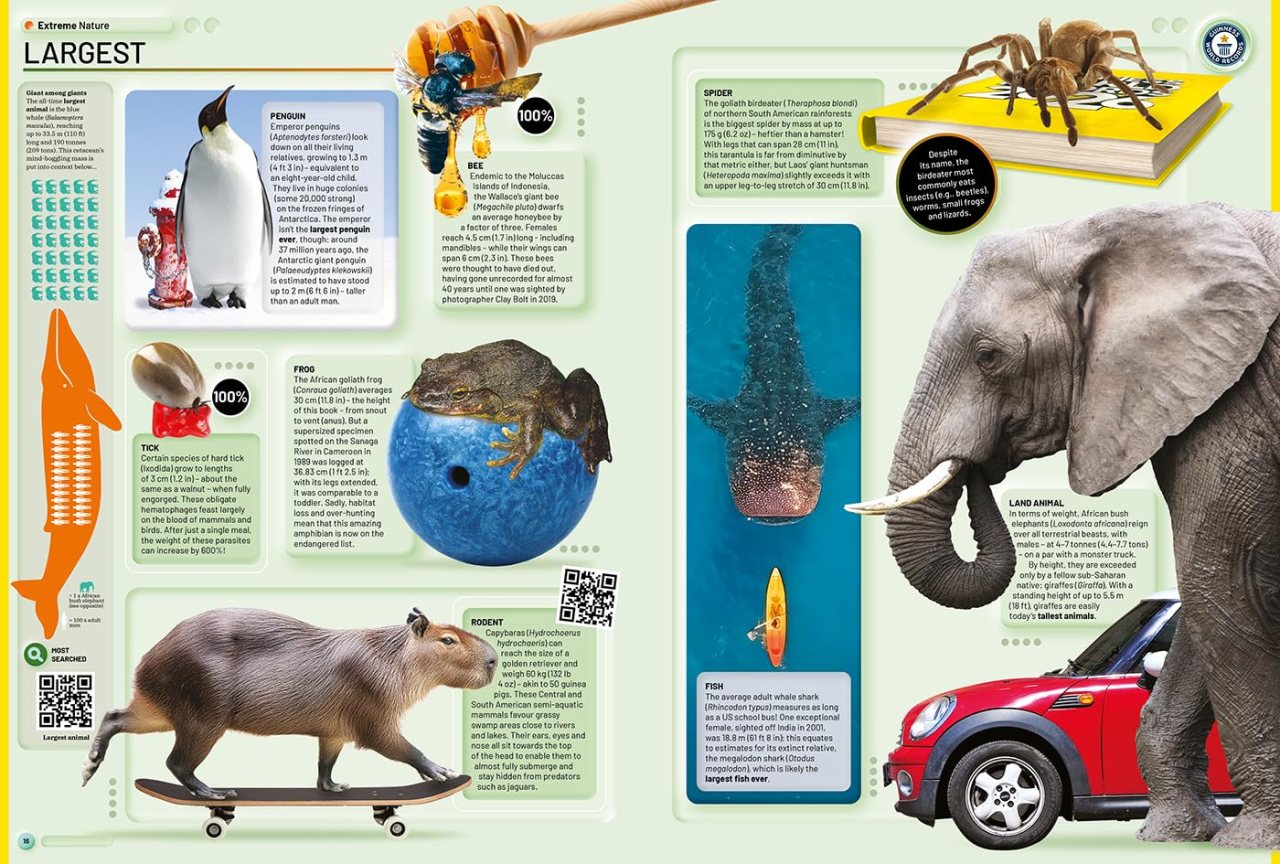 Guinness World Records 2026 | Waterstones