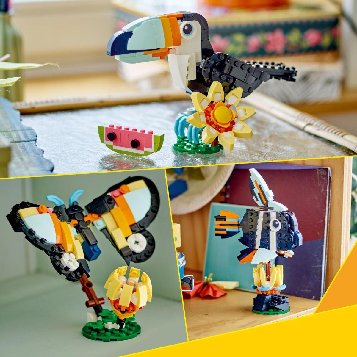 Wild Animals: Tropical Toucan | Waterstones