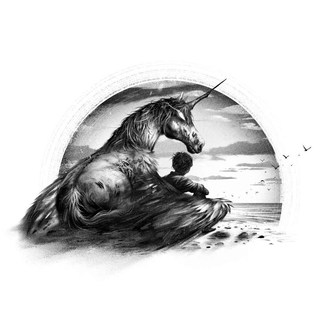 The First Unicorn Rider by A.F. Steadman | Waterstones