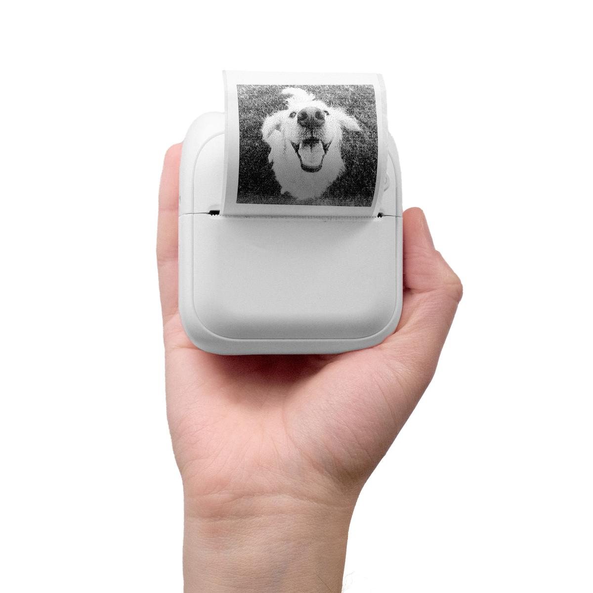 Mini Printer | Waterstones