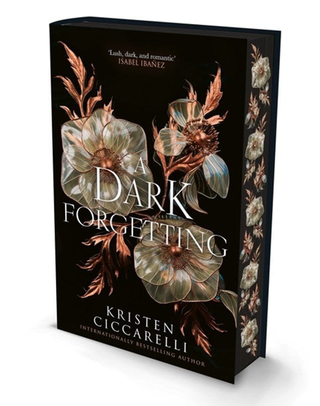 A Dark Forgetting by Kristen Ciccarelli | Waterstones