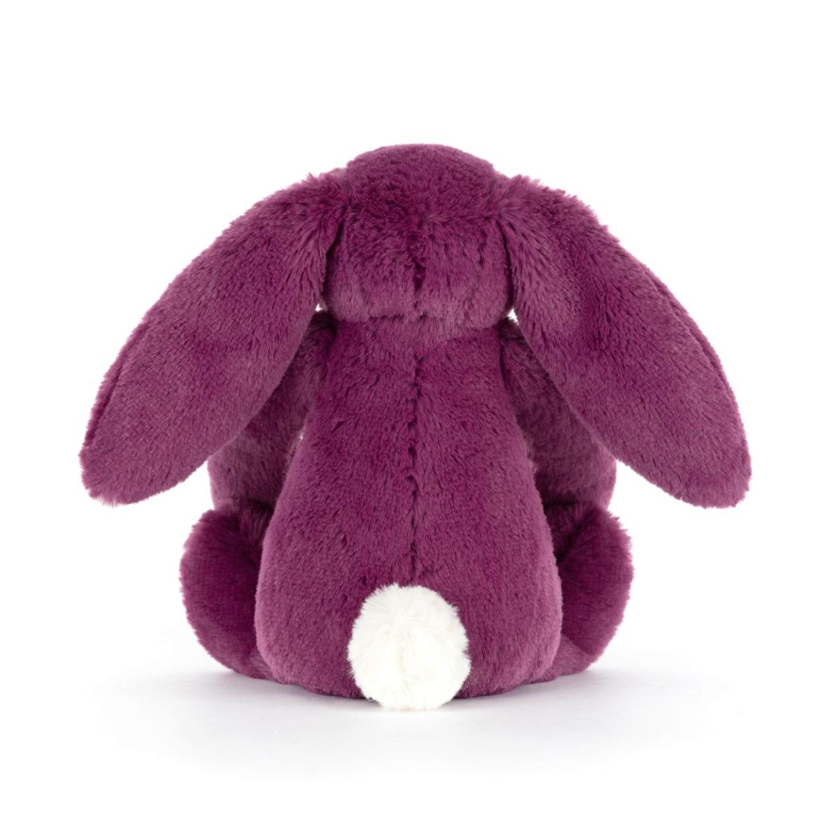 Bashful Bunny Allium Little | Waterstones