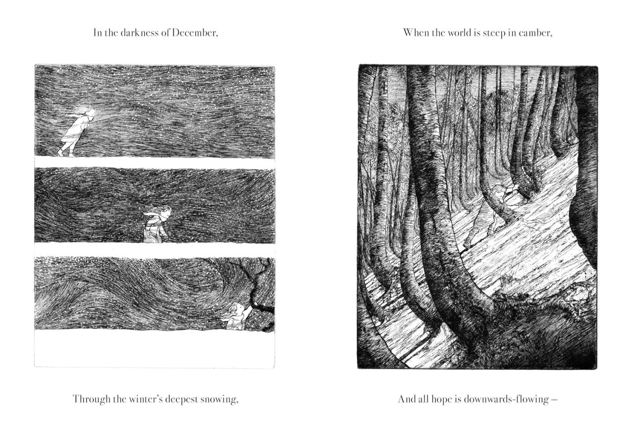 The Night Creatures: Firefly by Robert Macfarlane, Luke Adam Hawker ...