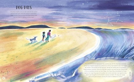 The Roots We Share by Susie Dent, Harriet Hobday | Waterstones