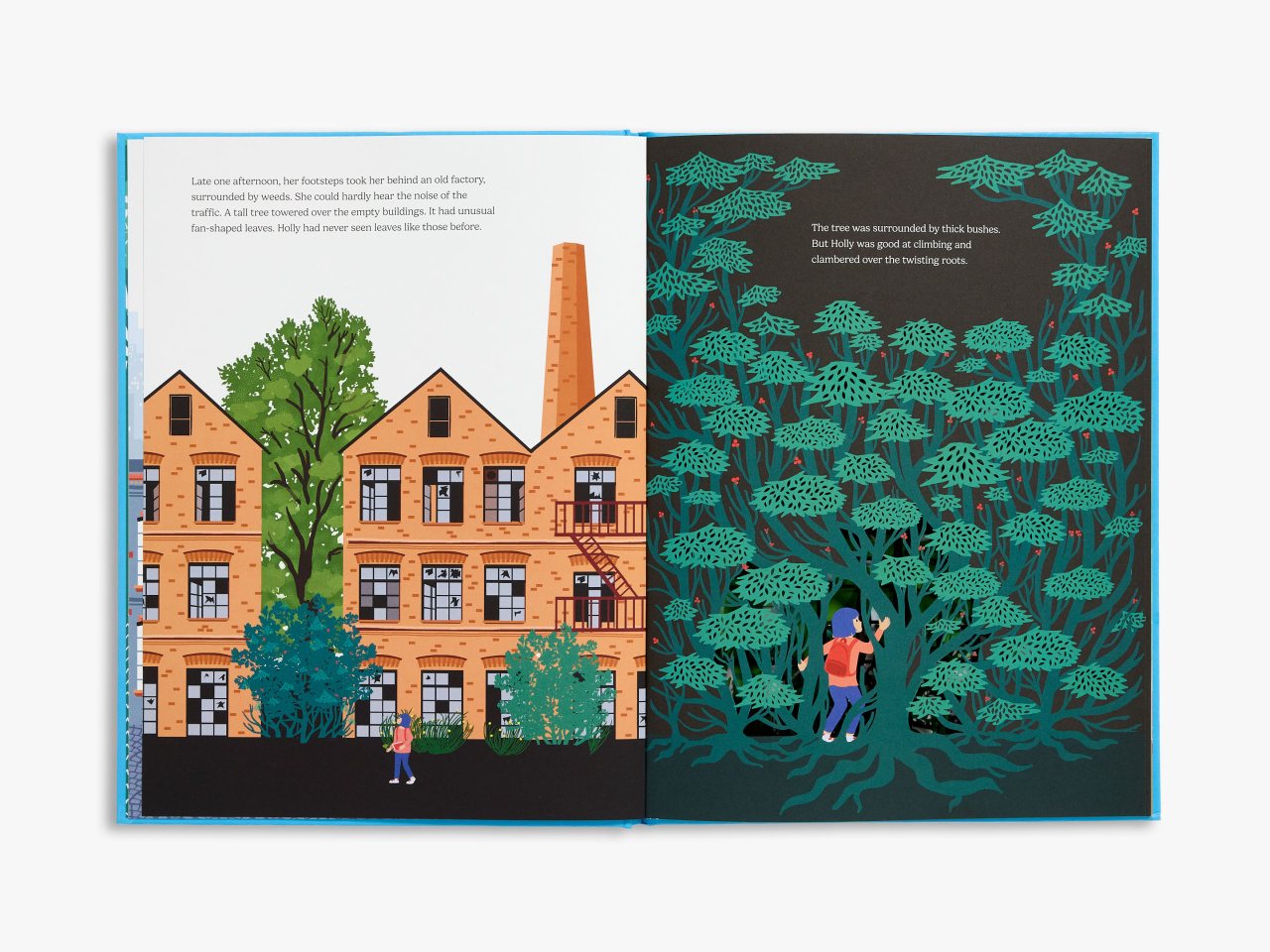 The Glasshouse by Hélène Druvert | Waterstones