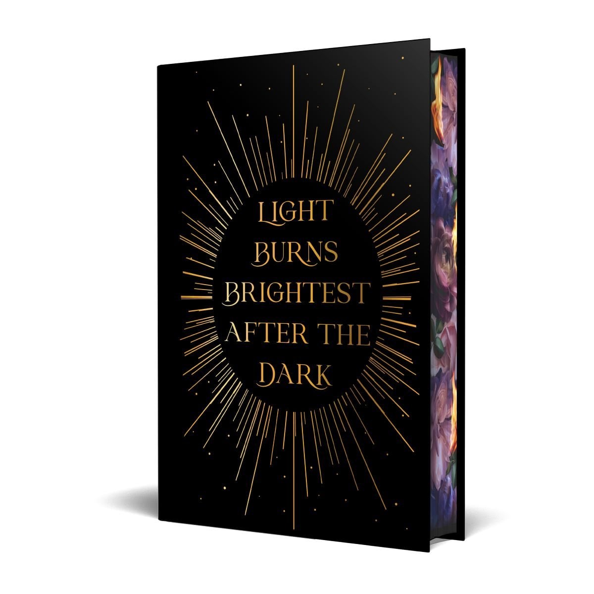Light Wielder by Rachel Schneider | Waterstones