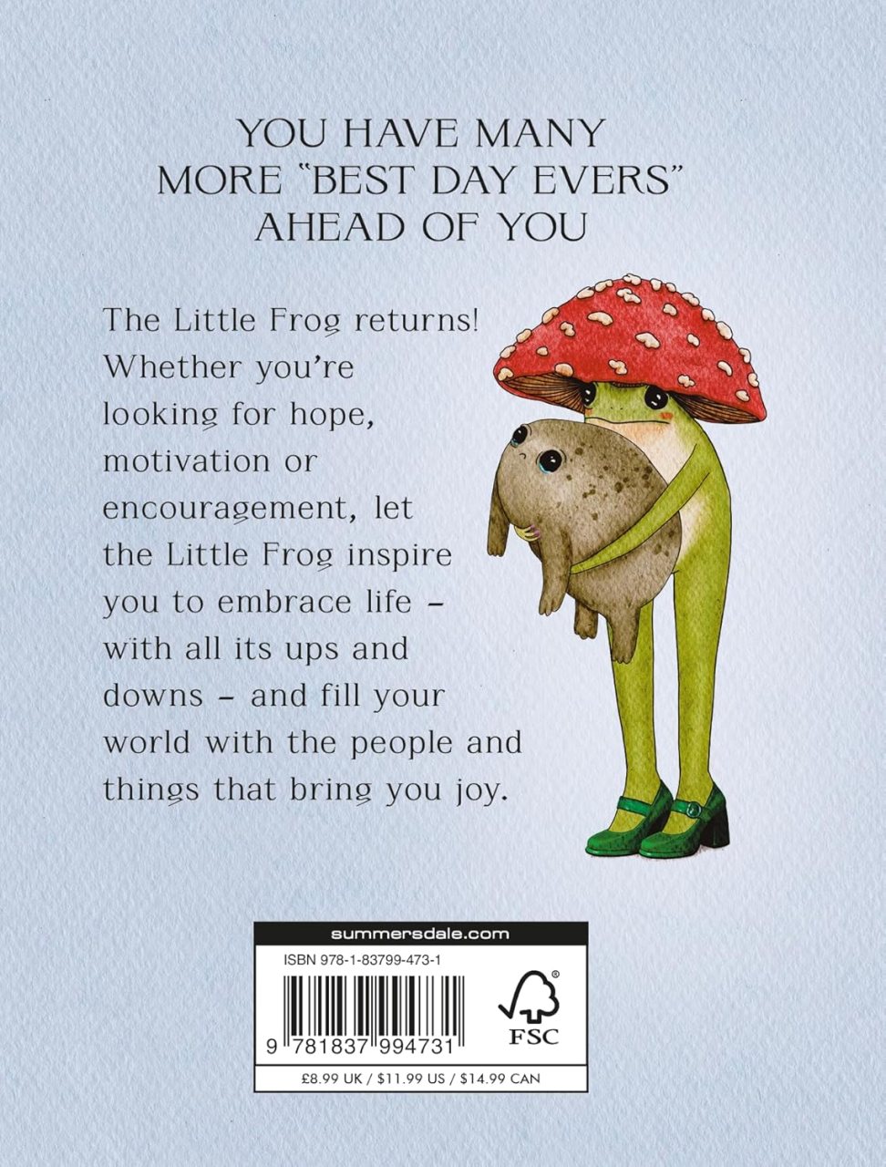 The Little Frog's Guide to Life by Maybell Eequay | Waterstones