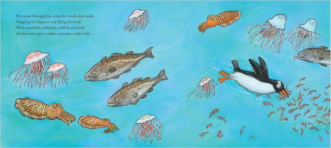 Jonty Gentoo - The Adventures of a Penguin by Julia Donaldson, Axel ...