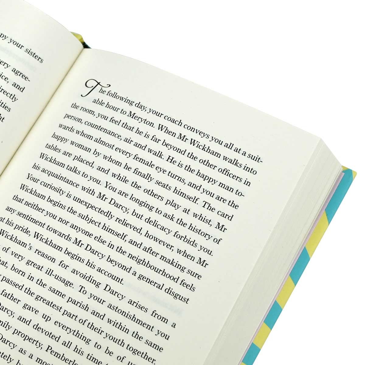 You Are Elizabeth Bennet by Emma Campbell Webster | Waterstones