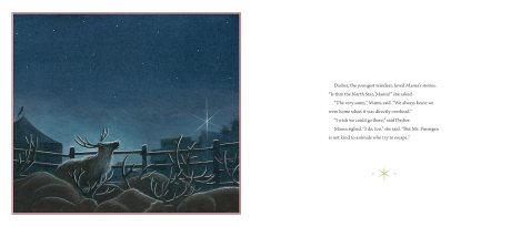 Dasher by Matt Tavares | Waterstones