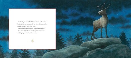 Dasher by Matt Tavares | Waterstones