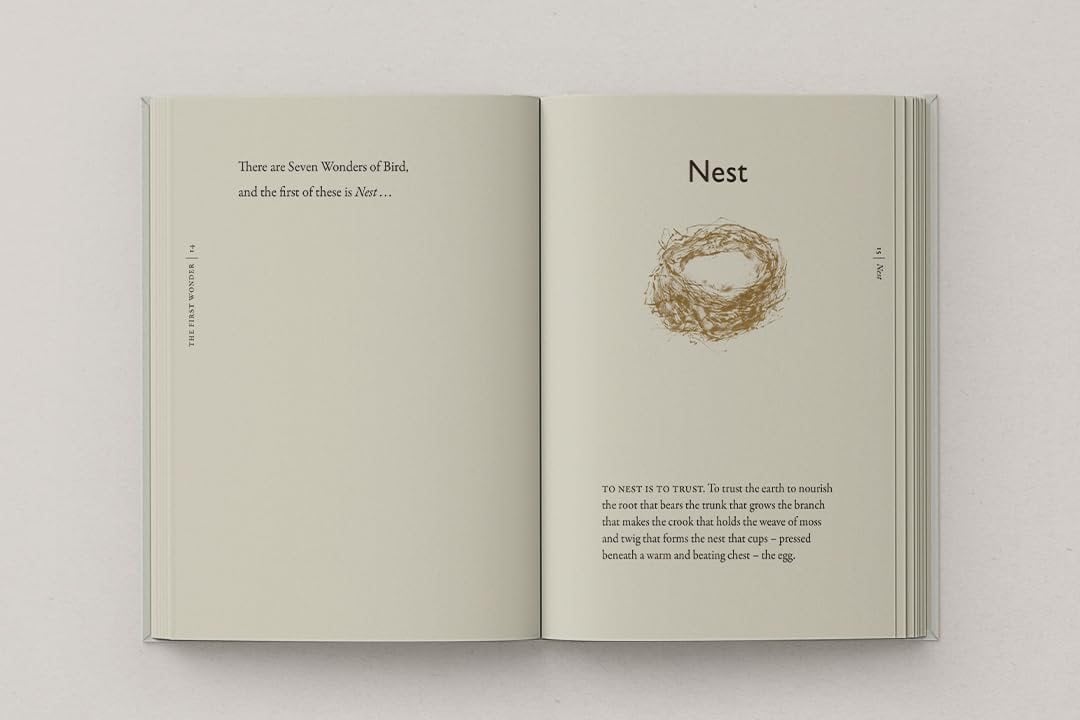 The Book of Birds by Robert Macfarlane, Jackie Morris | Waterstones