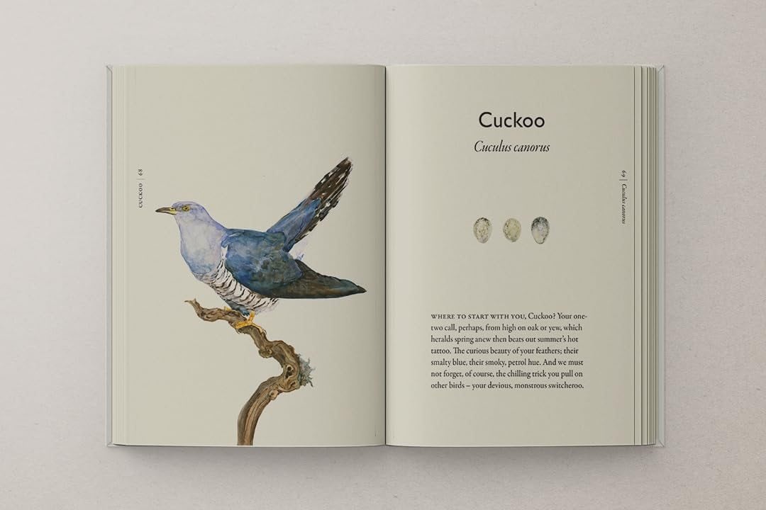 The Book of Birds by Robert Macfarlane, Jackie Morris | Waterstones