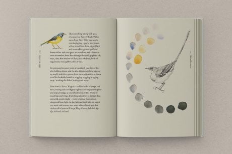 The Book of Birds by Robert Macfarlane, Jackie Morris | Waterstones