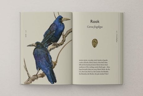 The Book of Birds by Robert Macfarlane, Jackie Morris | Waterstones