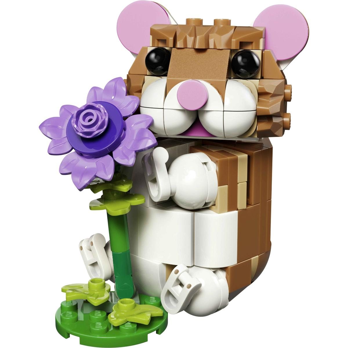 Cute Hamster With A Flower | Waterstones