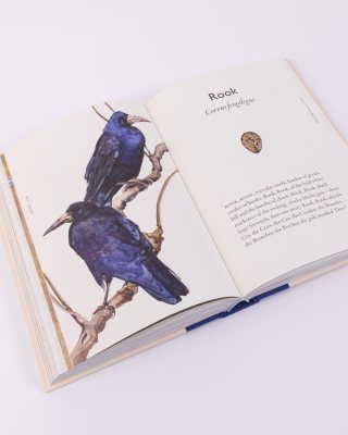 The Book of Birds by Robert Macfarlane, Jackie Morris | Waterstones