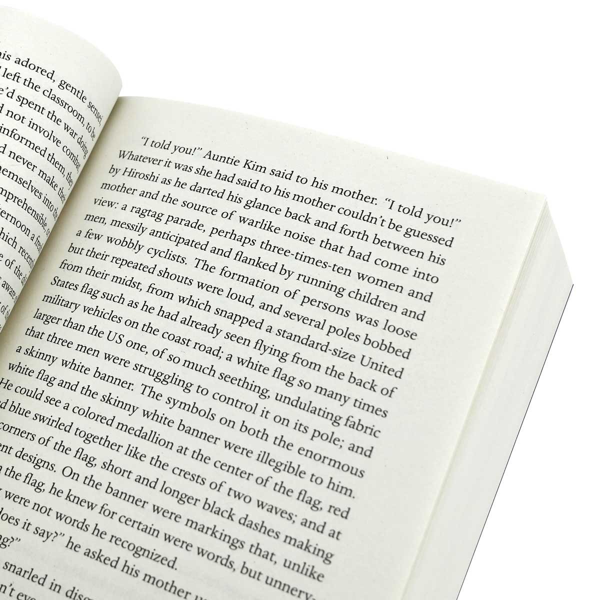 Flashlight by Susan Choi | Waterstones