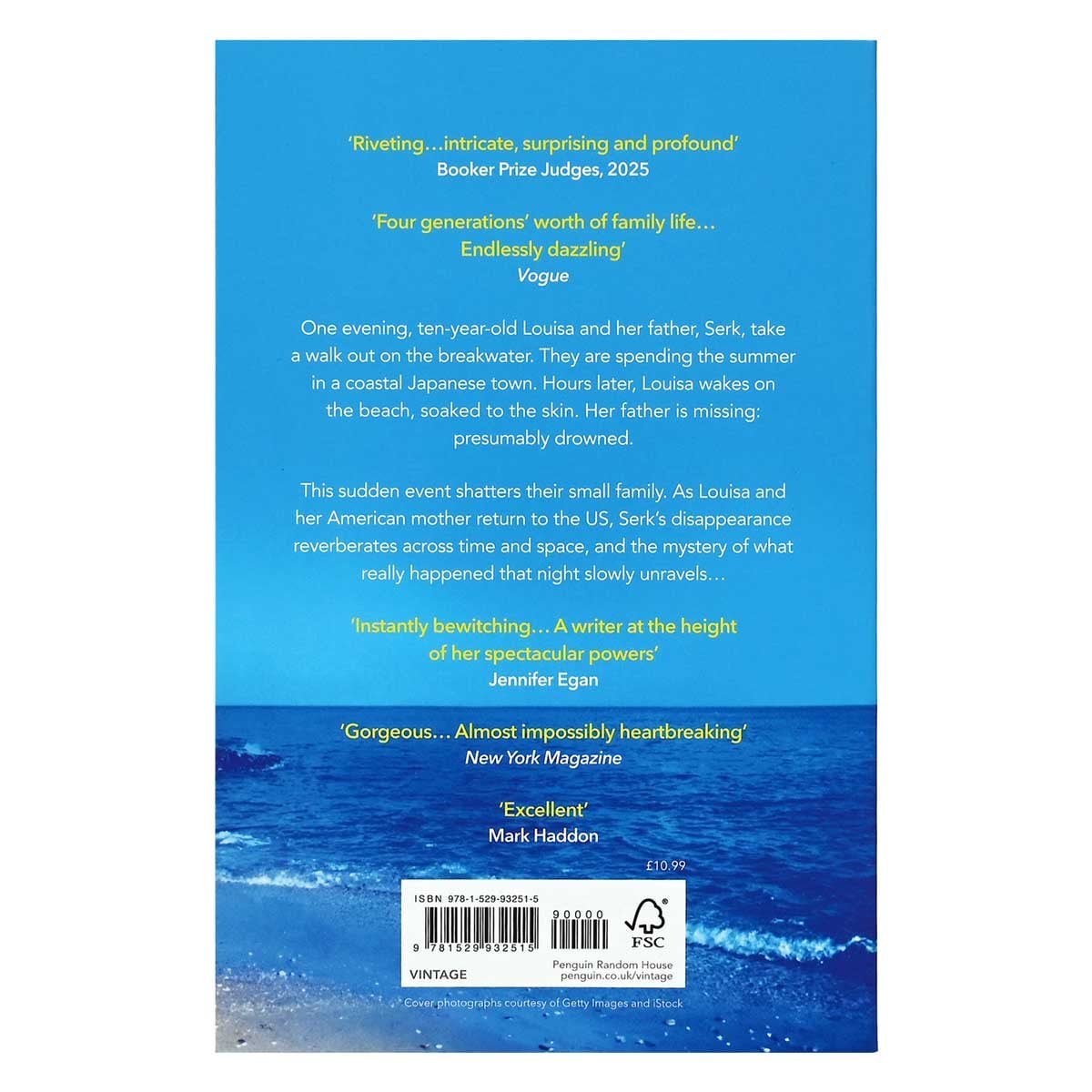 Flashlight by Susan Choi | Waterstones