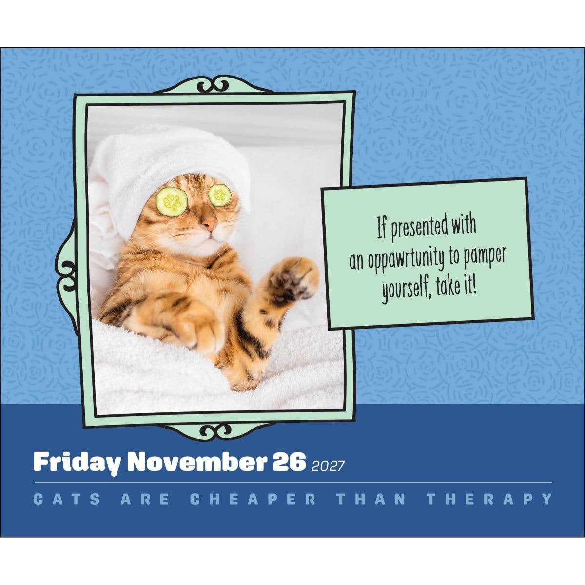 2027 Cat Therapy Boxed Calendar by Andrews McMeel Publishing | Waterstones