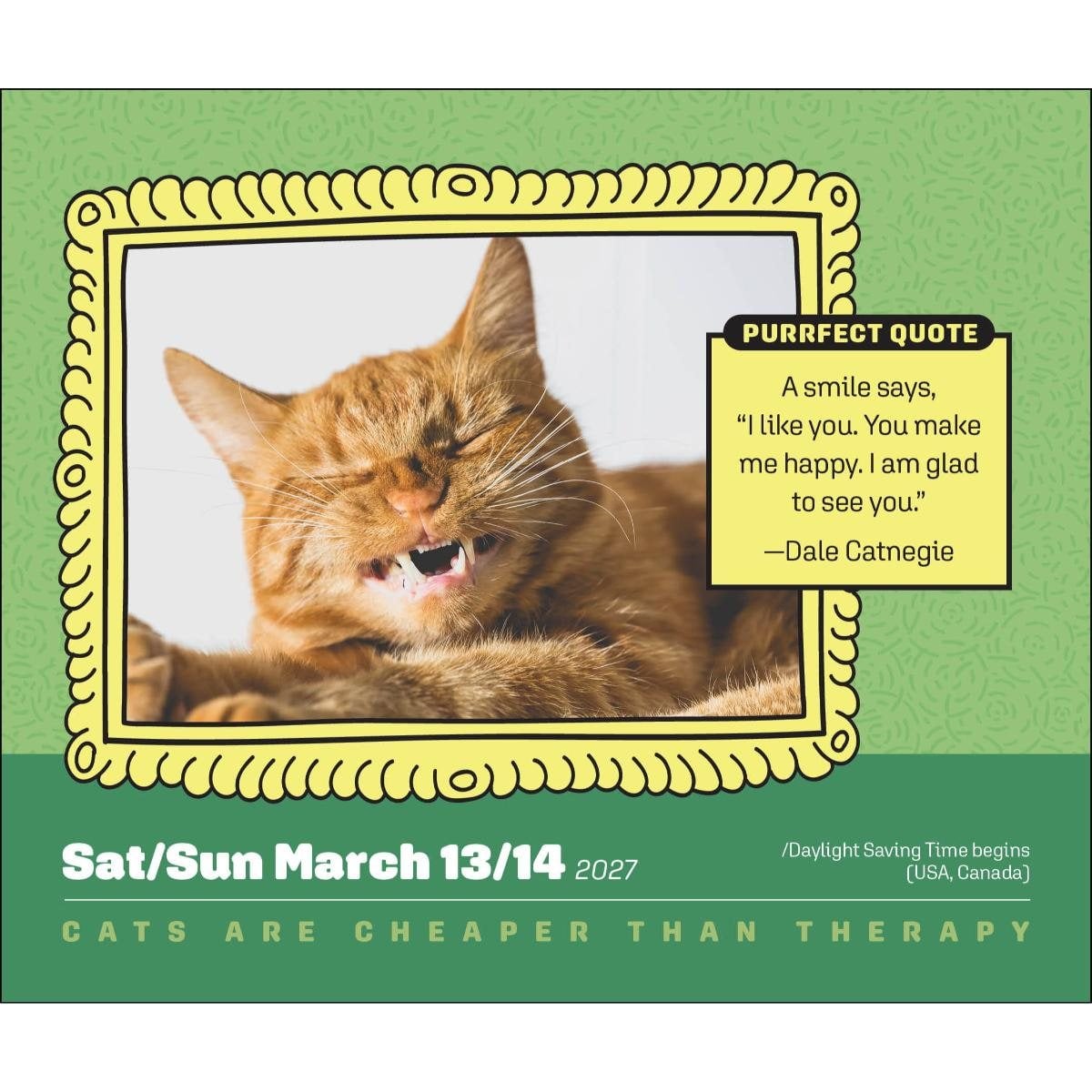 2027 Cat Therapy Boxed Calendar by Andrews McMeel Publishing | Waterstones