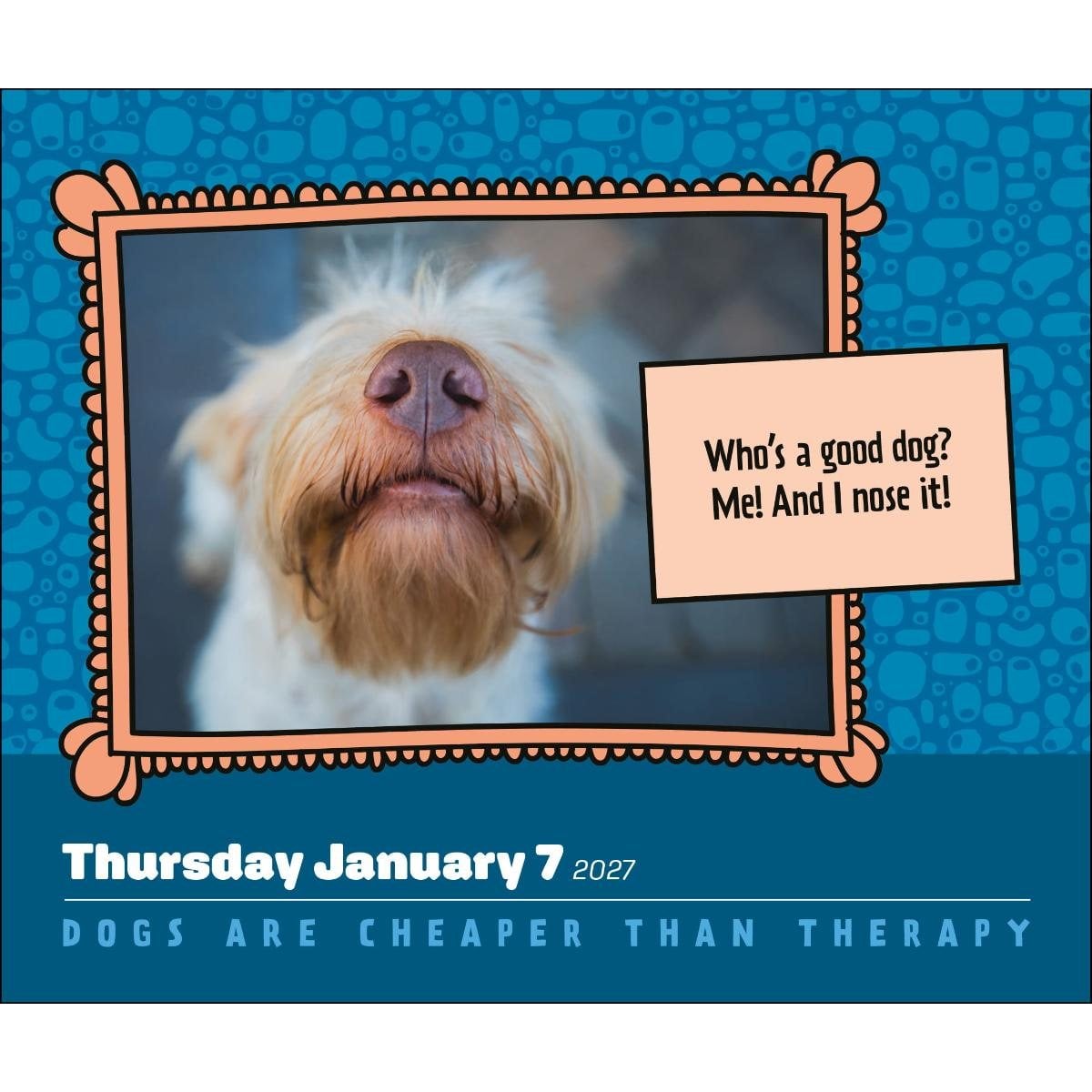 2027 Dog Therapy Boxed Calendar by Andrews McMeel Publishing | Waterstones