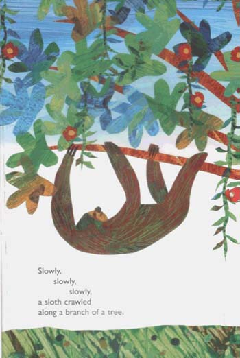Slowly, Slowly, Slowly, Said the Sloth by Eric Carle | Waterstones